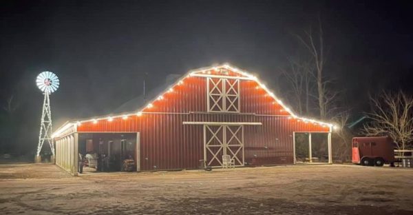 Home Page - Funny Farm Rescue