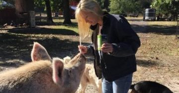 Home Page - Funny Farm Rescue