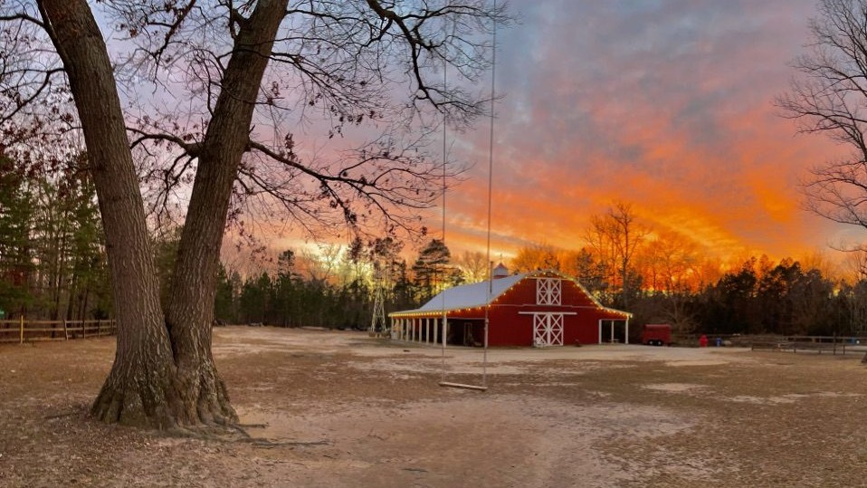 Home Page - Funny Farm Rescue